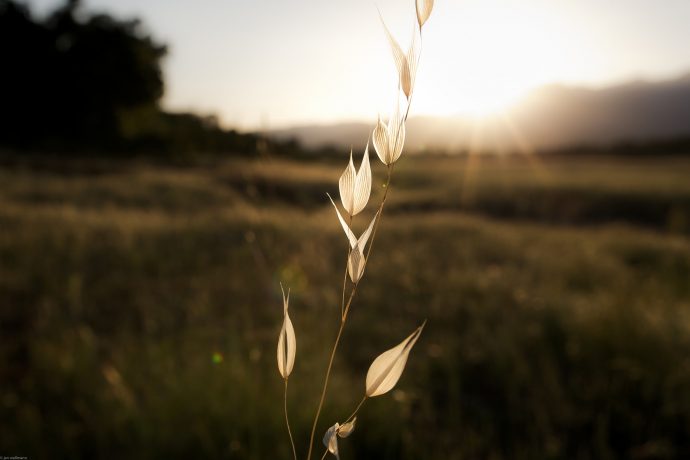 JAN WELLMANN: THE ENERGY WHISPERER – Vigintillion Club