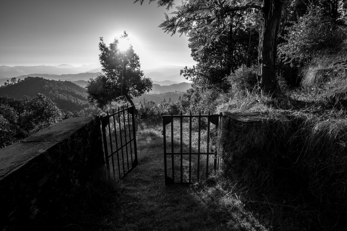 JAN WELLMANN: THE ENERGY WHISPERER – Vigintillion Club